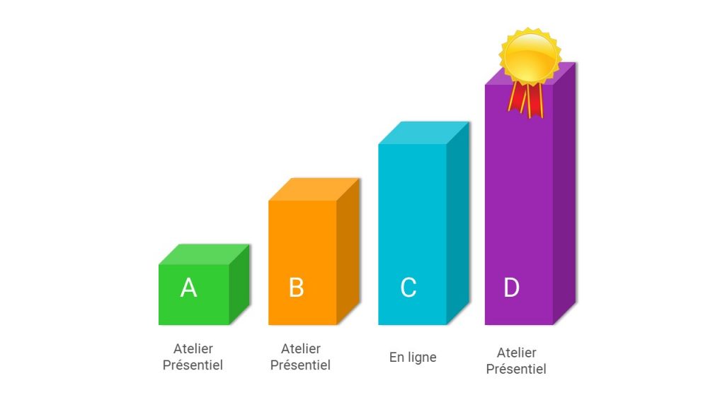 Certification en Visual Mapping | Visual-Mapping.fr
