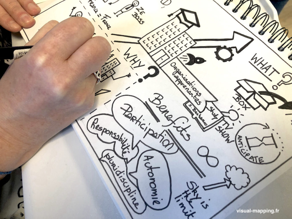 Facilitation visuelle en Éducation – Visual-Mapping.fr