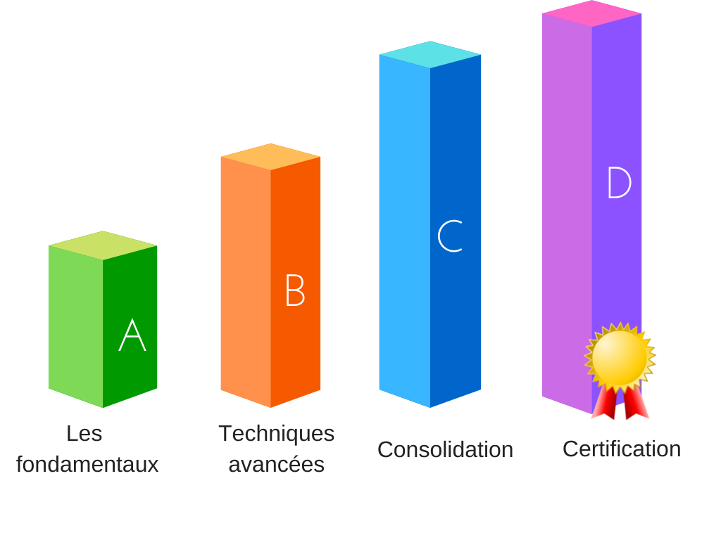 Certification en Visual Mapping | Visual-Mapping.fr