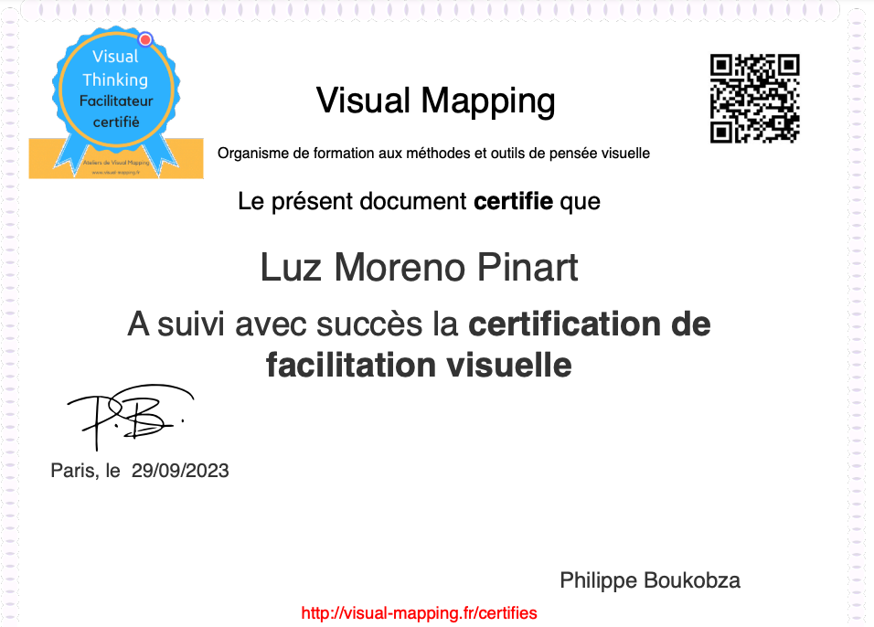 Certification Luz Moreno | Visual-Mapping.fr